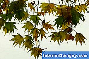 Tuin: Japanse Landschapsarchitectuur - 2026 | Nl.Interior-Designy.com