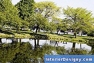 Giardino: Alberi Per Uno Stagno - 2026 | It.Interior-Designy.com